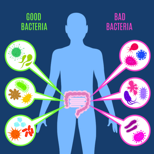 Body Systems Affected by Altered pH Levels Archives - pH FocusedpH Focused