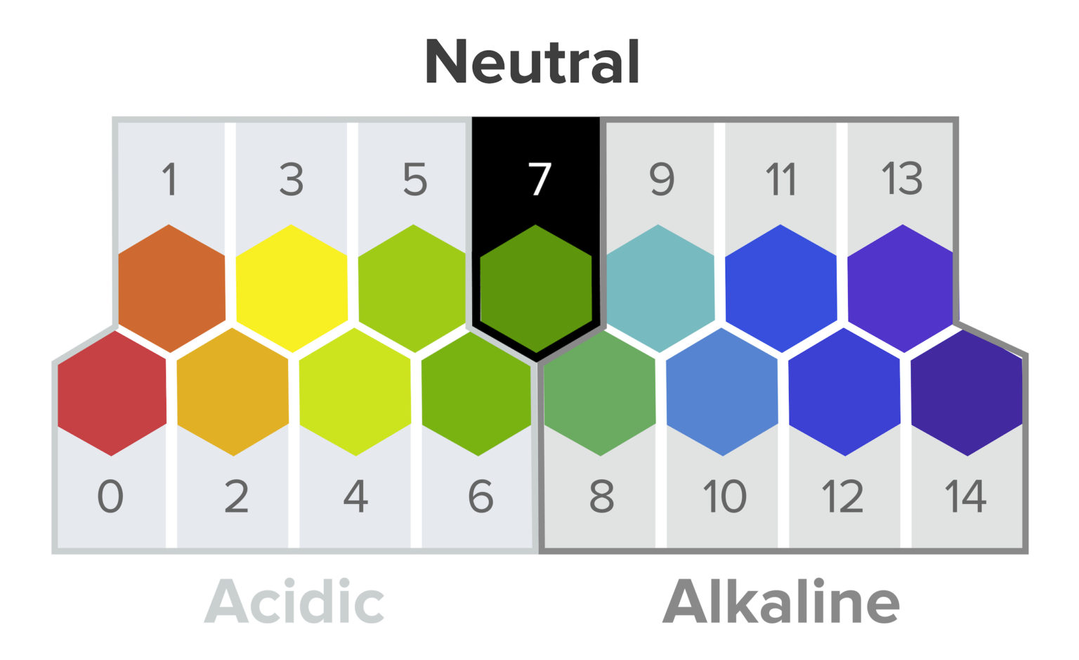 BUFFER SYSTEMS THAT ASSIST pH REGULATION - pH FocusedpH Focused
